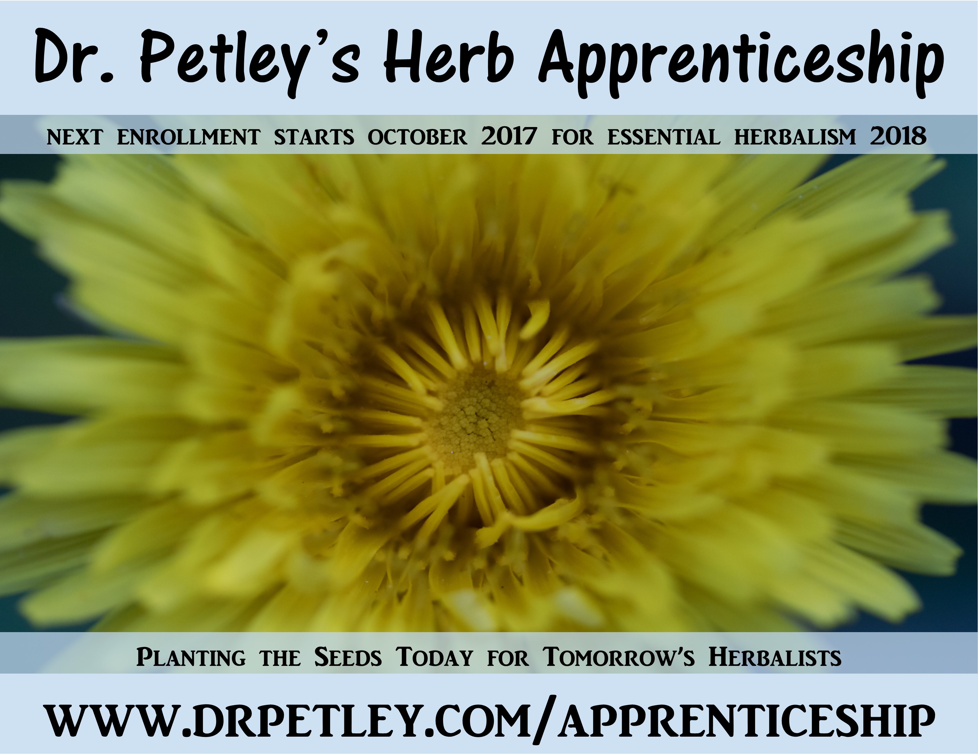 Applied Herbalism (Year 2) – Dr. Nate Petley, Naturopathic Doctor